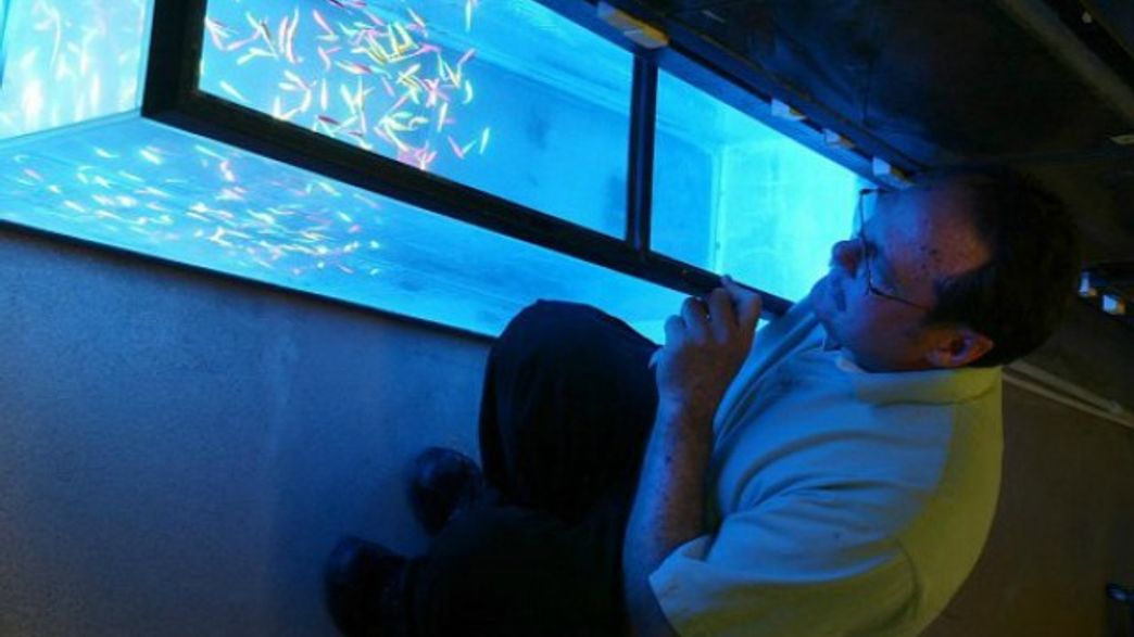 Flashy Fish Don't Get Lucky | IFLScience