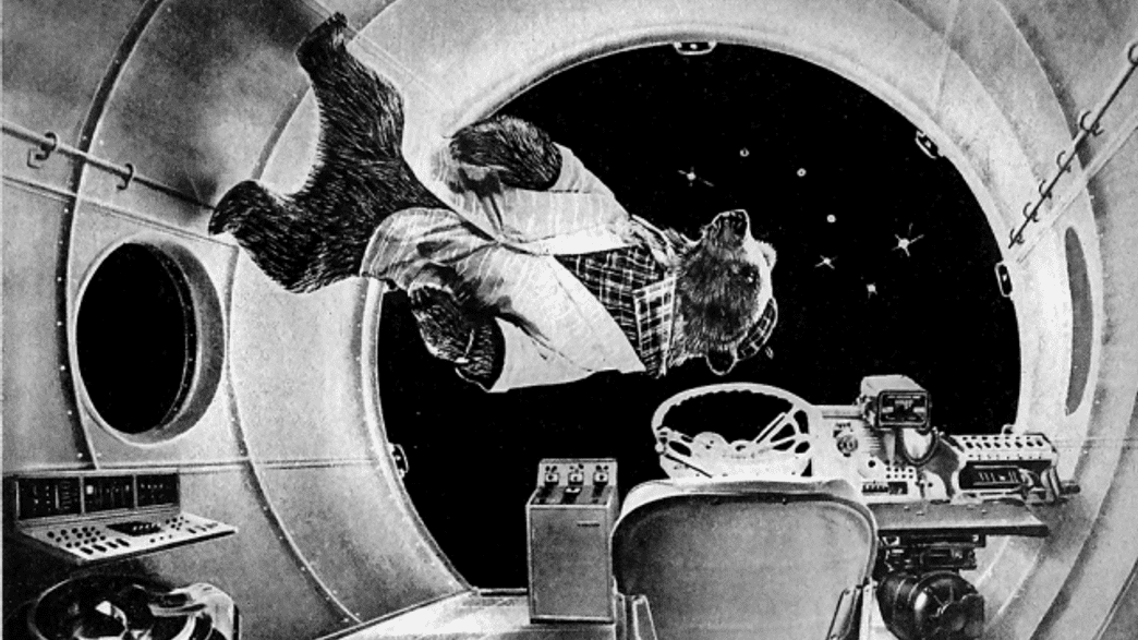 Study Suggests Intelligent Aliens Will Probably Be The Size Of Bears ...