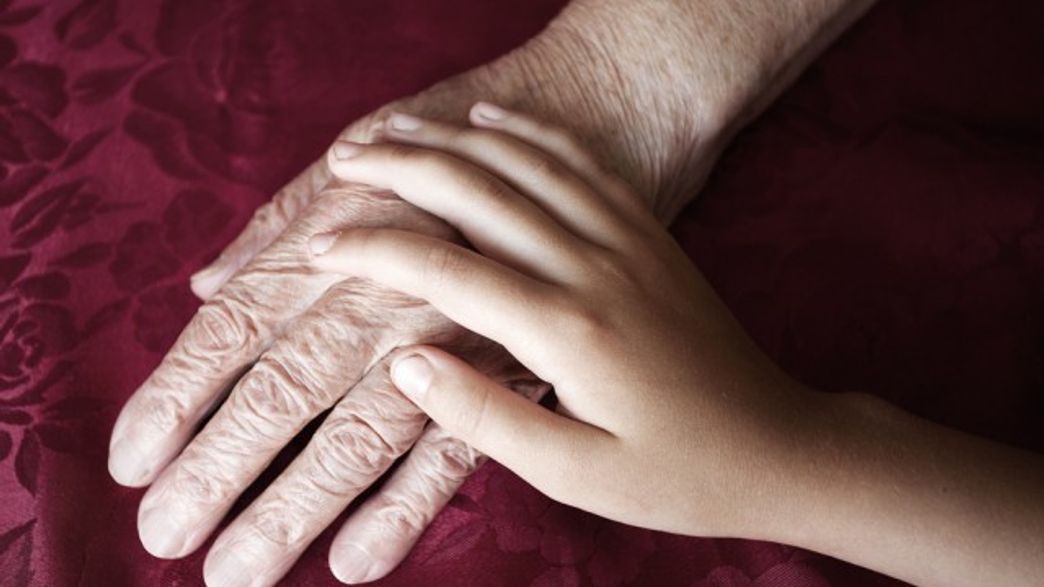 Scientists Reverse Aging In Human Cell Line | IFLScience