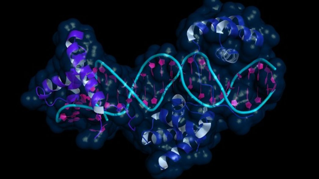 How Your Parent's Environment Can Affect Your DNA | IFLScience