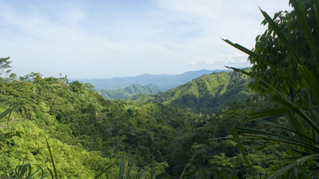 Eating Human Brains Drove Evolution In Remote Tribe | IFLScience