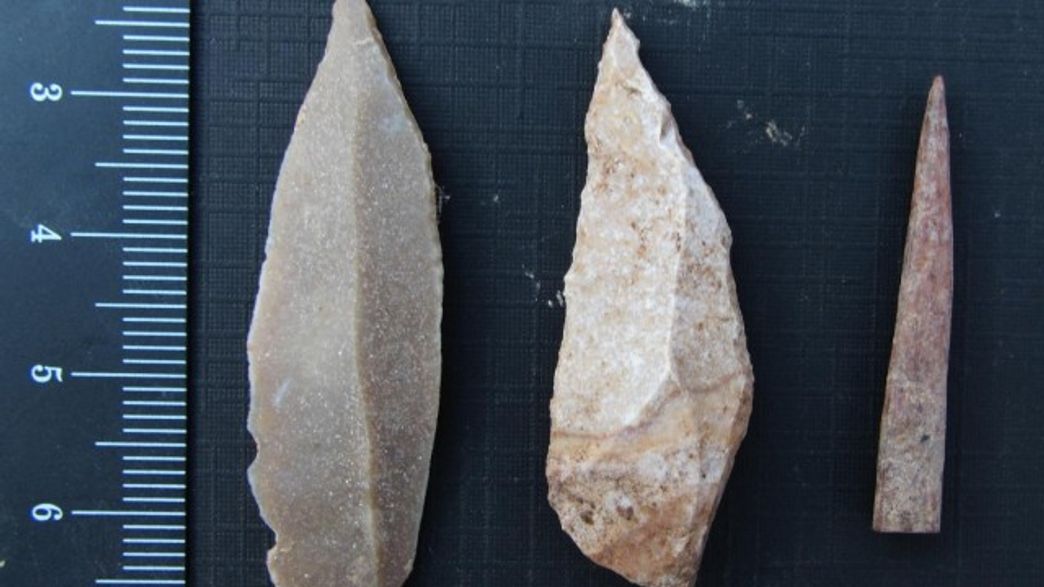 Stone Tools Indicate When Humans Started To Specialize | IFLScience