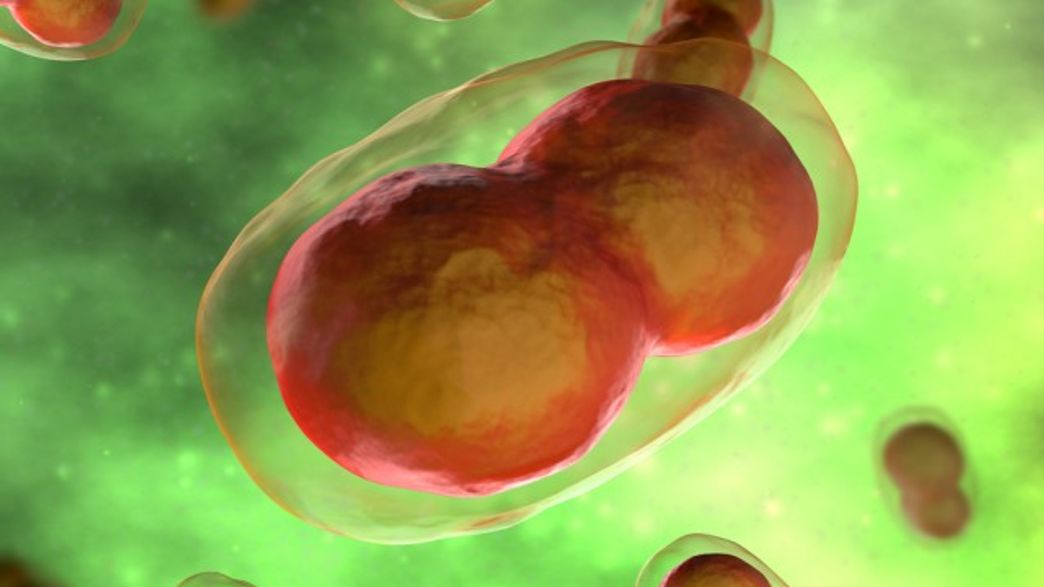 North Korean Scientist Defects; Will Testify On Human Experimentation ...