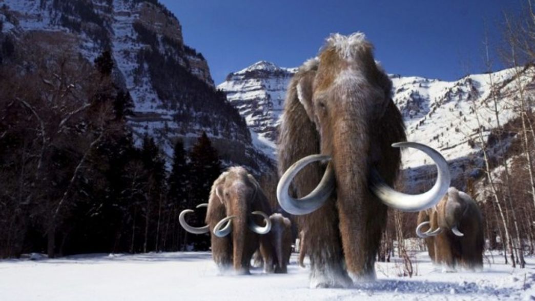 Genome Analysis Reveals How the Mammoth Got Its Coat | IFLScience