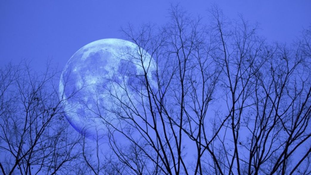 There's A "Blue Moon" This Friday - But What Does That Mean? | IFLScience