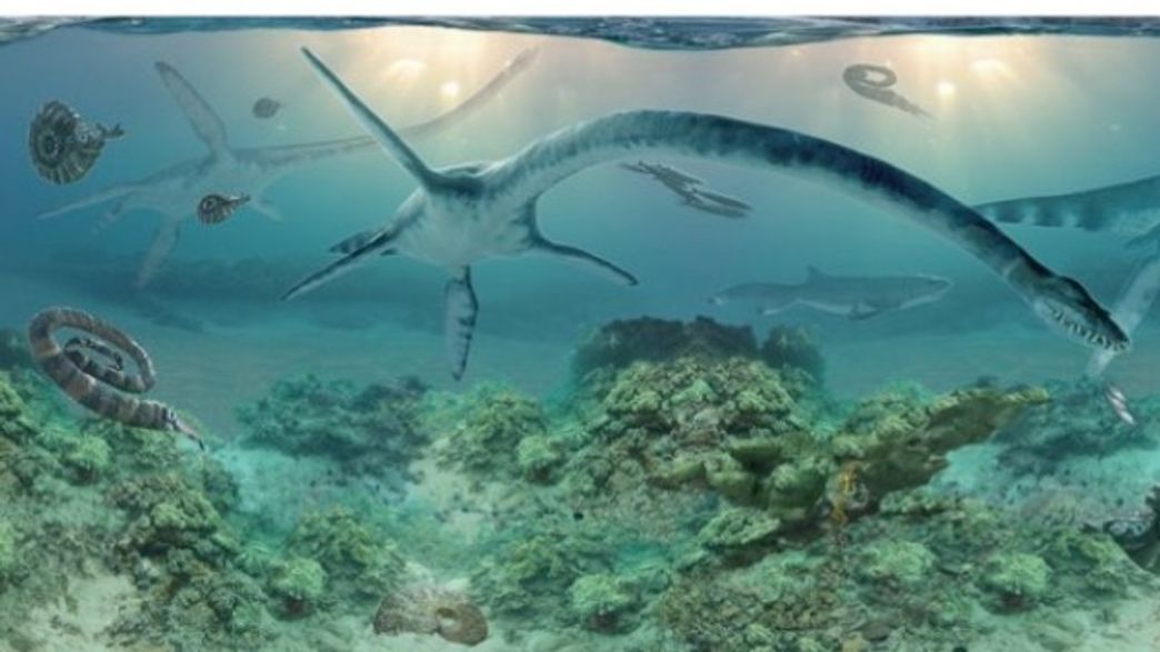 Ancient Long-Necked Marine Reptile Discovered in Alaska | IFLScience