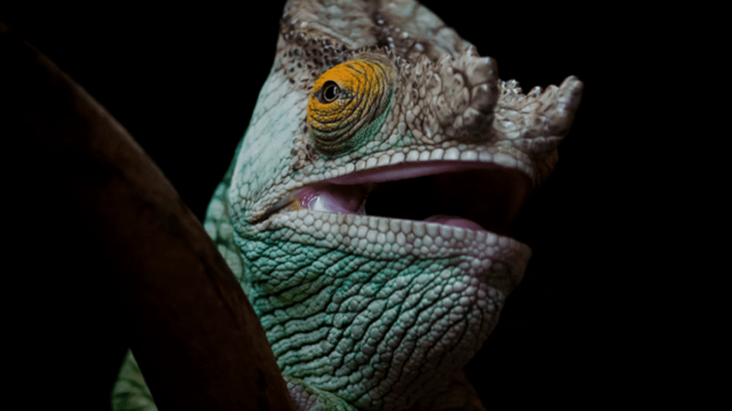 The Chameleon Field: Will We Ever Find This "Fifth Force"? | IFLScience