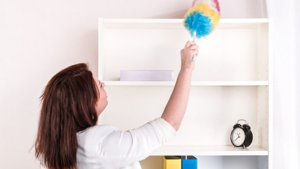 Here’s What Your House Dust Reveals About You | IFLScience