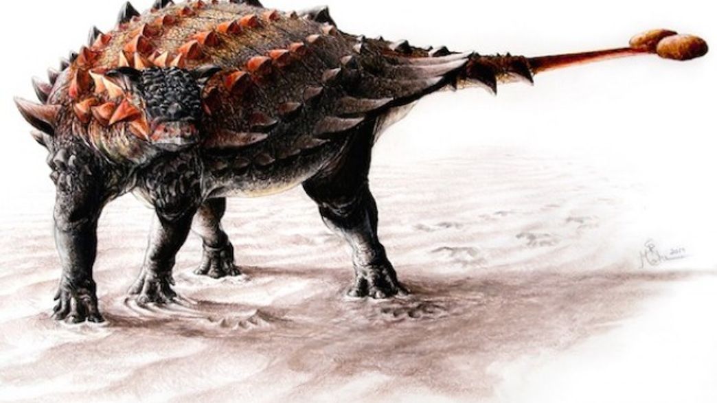 How The Ankylosaur Got Its Tail | IFLScience