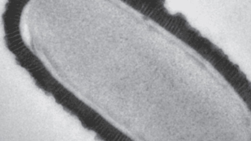 Scientists Plan On Resurrecting A 30,000-Year-Old Giant Virus | IFLScience