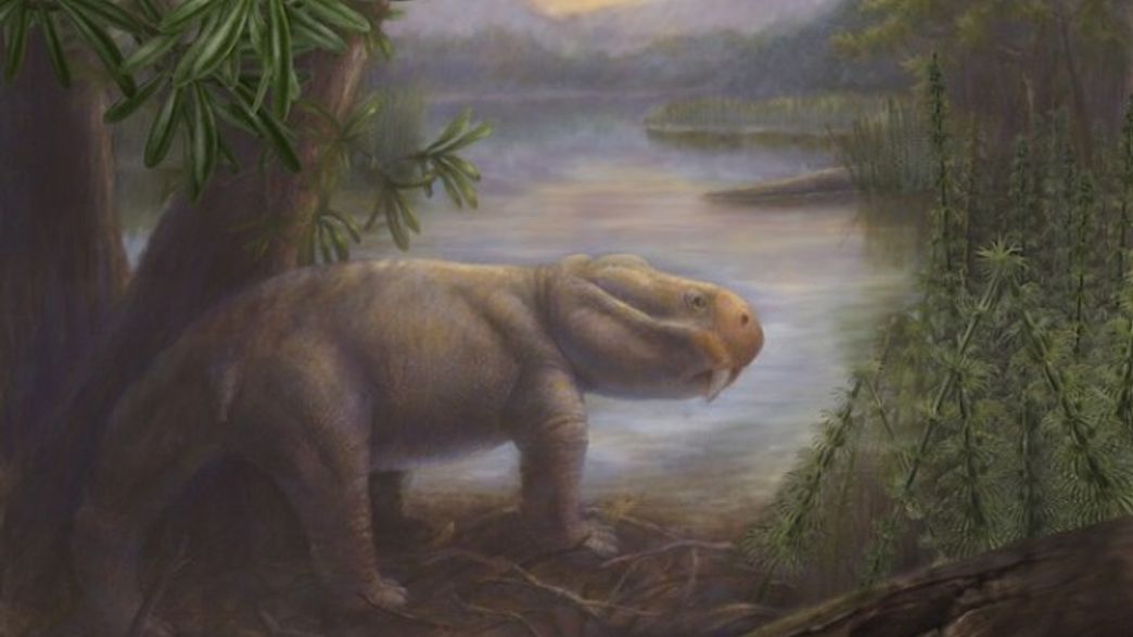 How Ancient Ecosystems Survived One Of Earth's Biggest Mass Extinctions ...