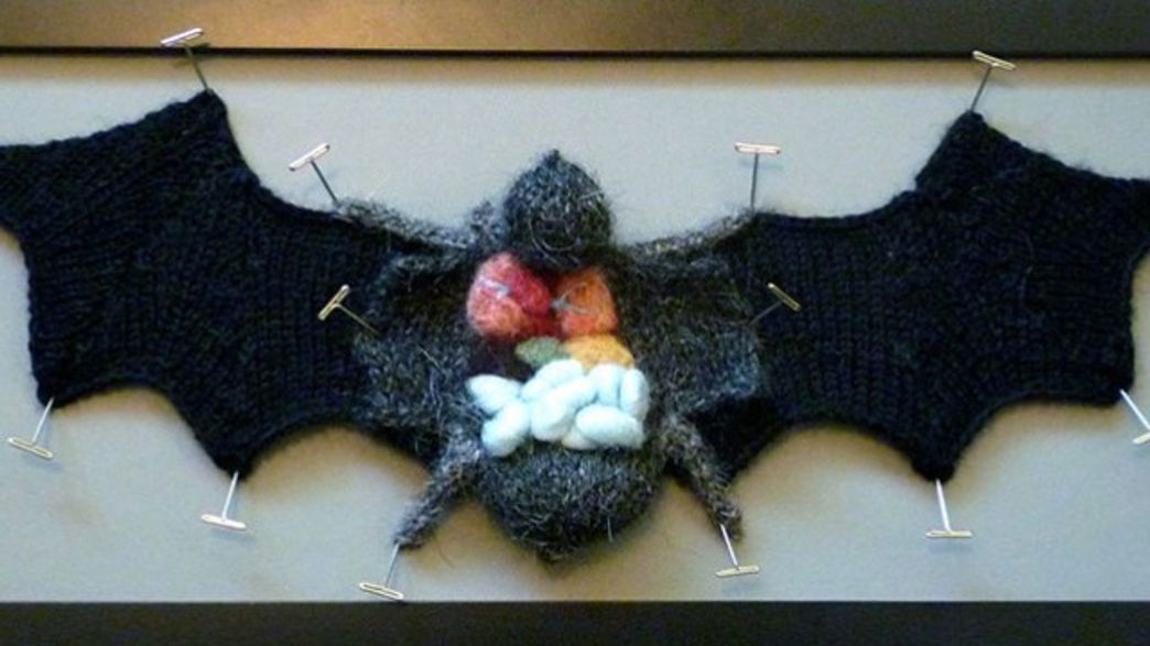 Learn Anatomy By Dissecting Knitted Animals | IFLScience