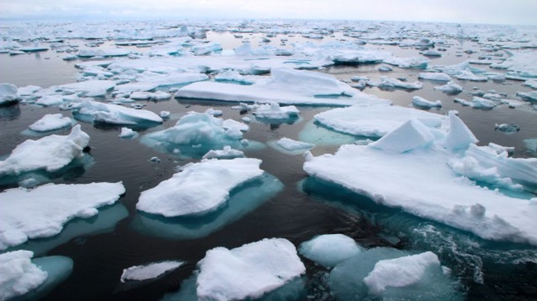 Floating Plastic Found Within The Arctic Circle | IFLScience