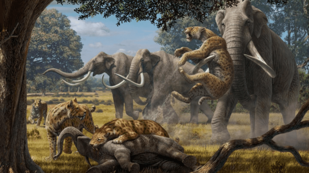 Ancient Hypercarnivores Reined In Mammoths And Other Megaherbivores ...