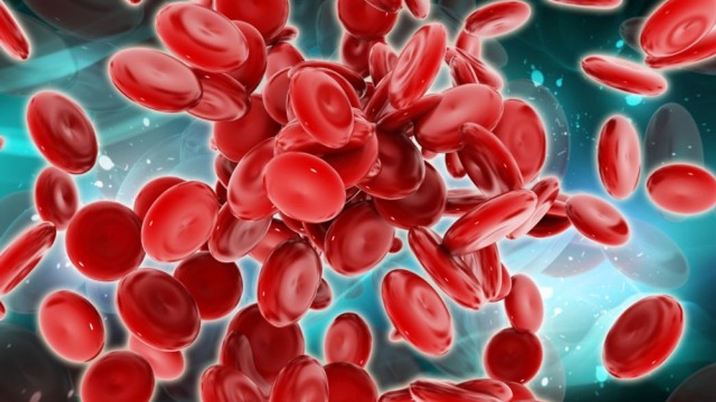 Our Ideas Of How Blood Forms Have Just Been Turned On Their Head ...