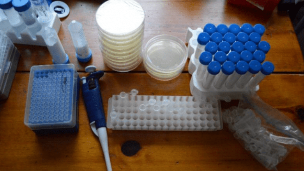 This Crowdfunding Project Lets You Edit DNA From In Own Home | IFLScience