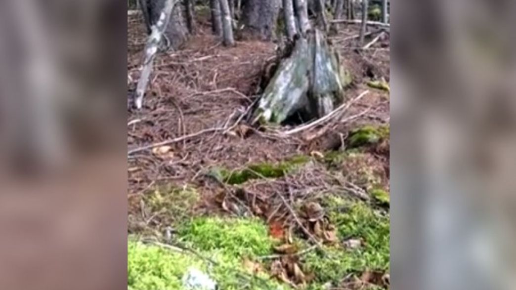 This Eerie Footage Appears To Show The Earth BREATHING | IFLScience