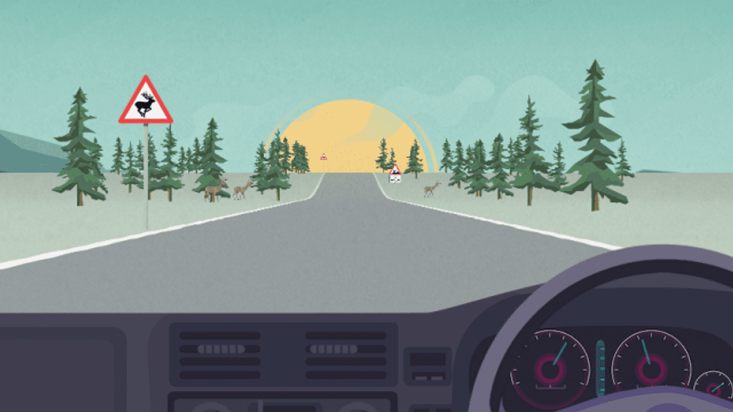 How Close Is Your "Driving Age" To Your Real Age? Find Out With This ...