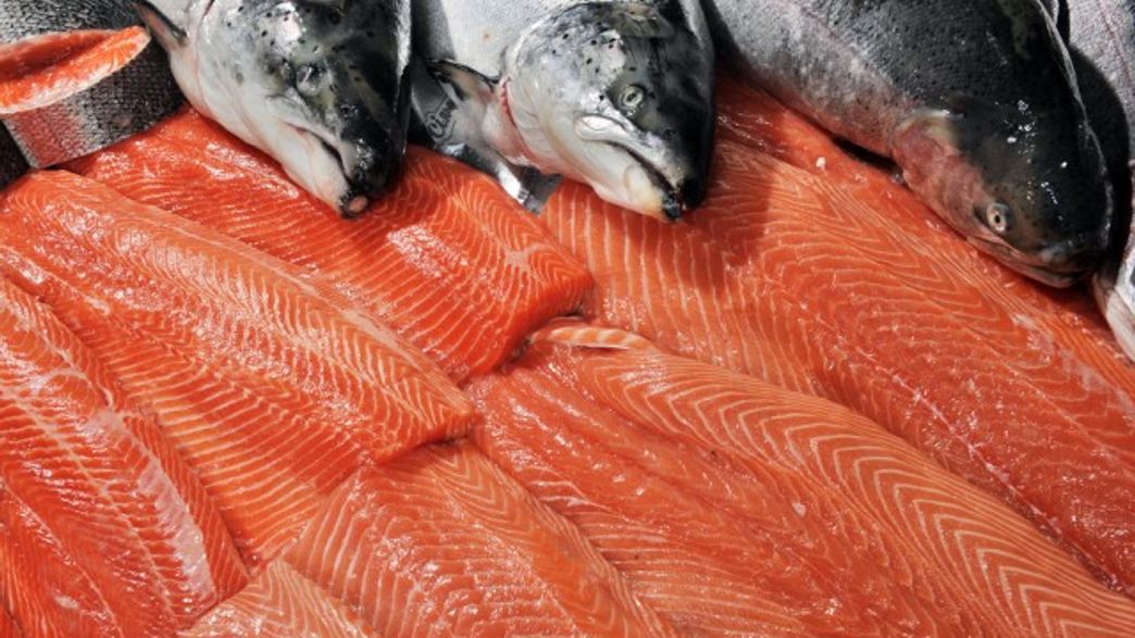 FDA Grants First Ever Approval For Genetically Modified Animal Products ...