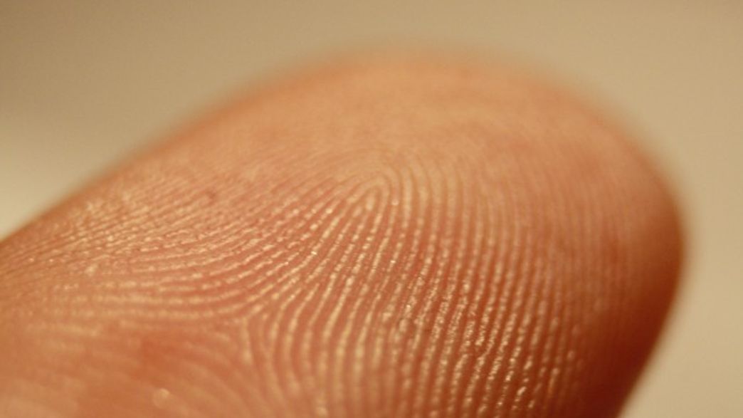 Scientists Can Now Tell Your Gender From Your Fingerprint | IFLScience
