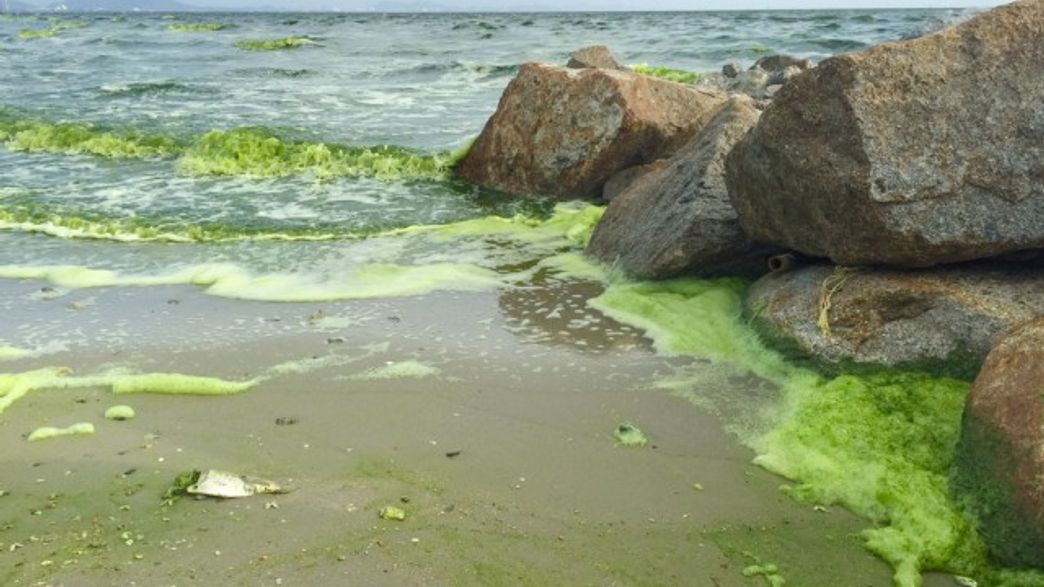 Global Warming Could Suffocate The World | IFLScience