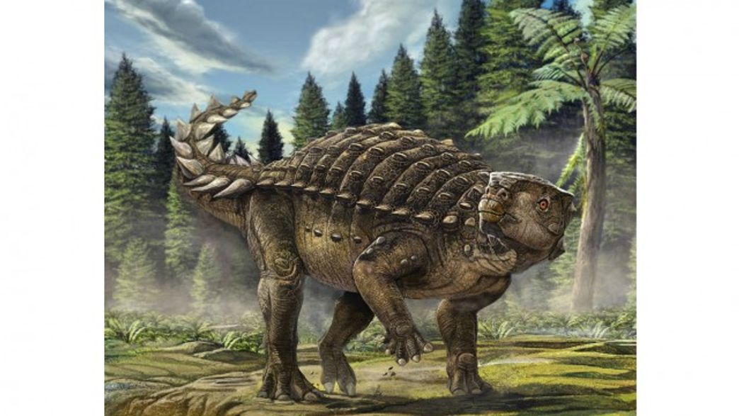 Australia's Ankylosaur Dinosaur Was Slow To Evolve | IFLScience