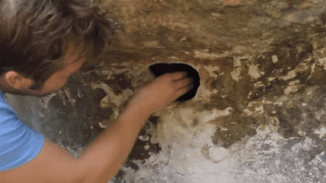 Man Reaches Into Cave Hole And Pulls Out Your Worst Nightmare | IFLScience