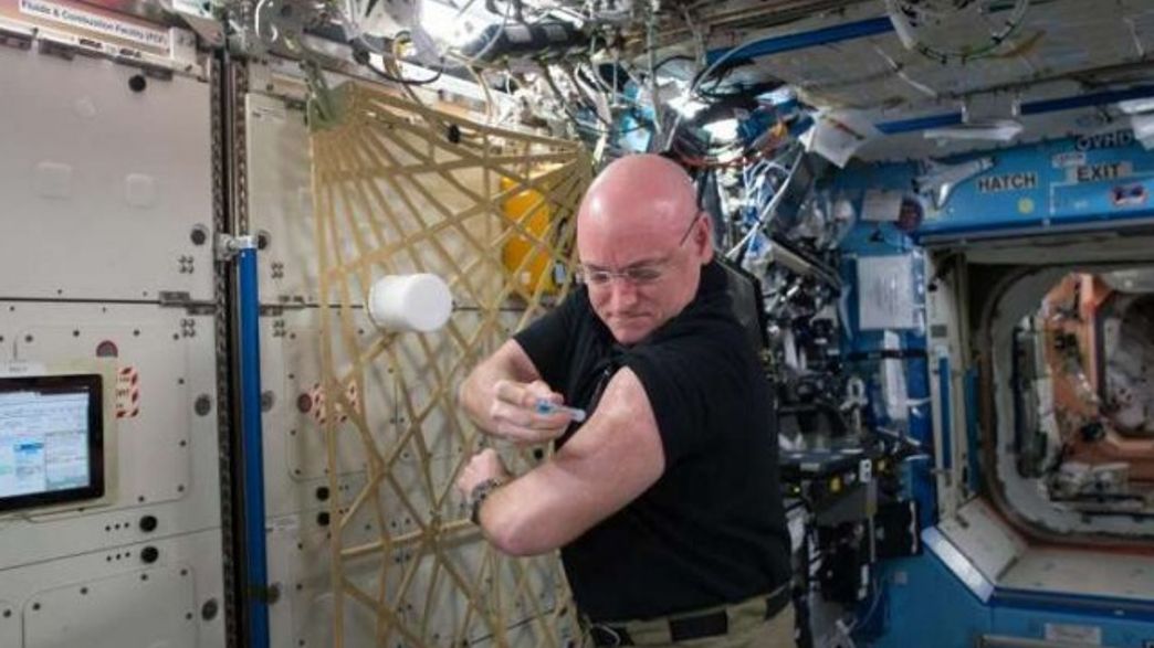 What Does Space Do To Your Immune System? | IFLScience