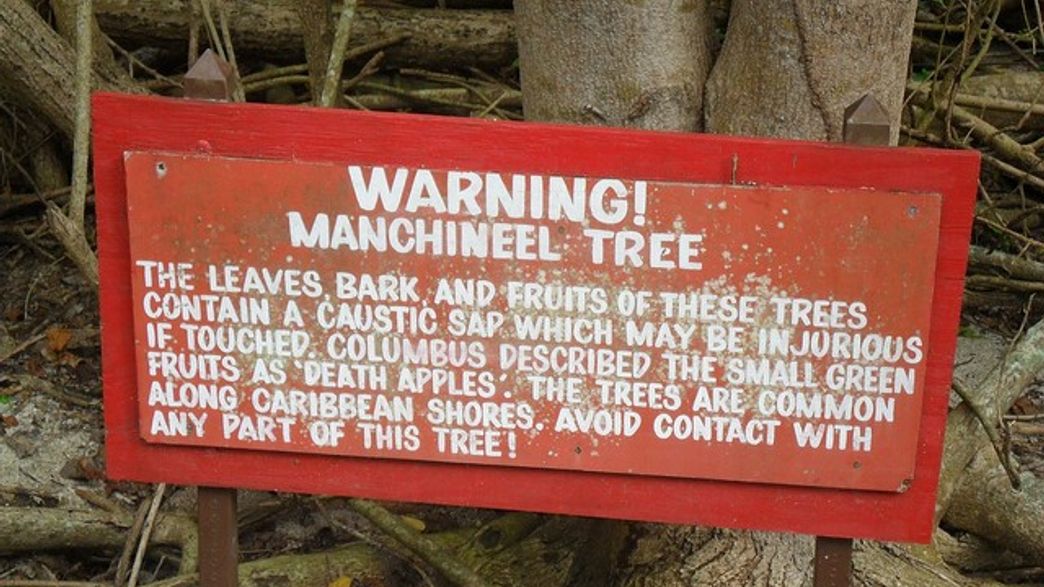 The "Tree Of Death" Is As Terrifying As It Sounds | IFLScience