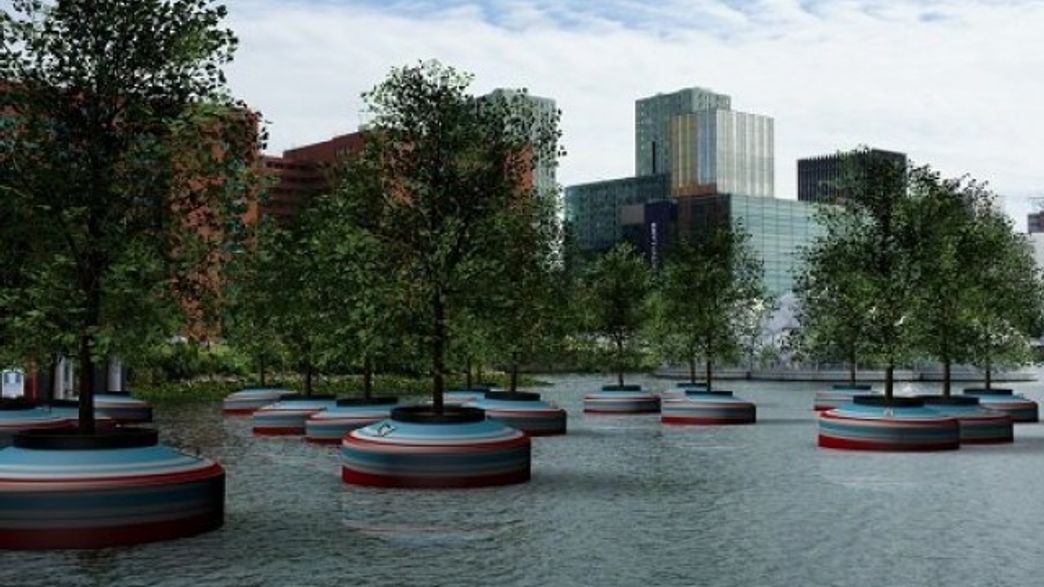 "Floating Forest" Hopes To Bring Nature Back To A Dutch City | IFLScience