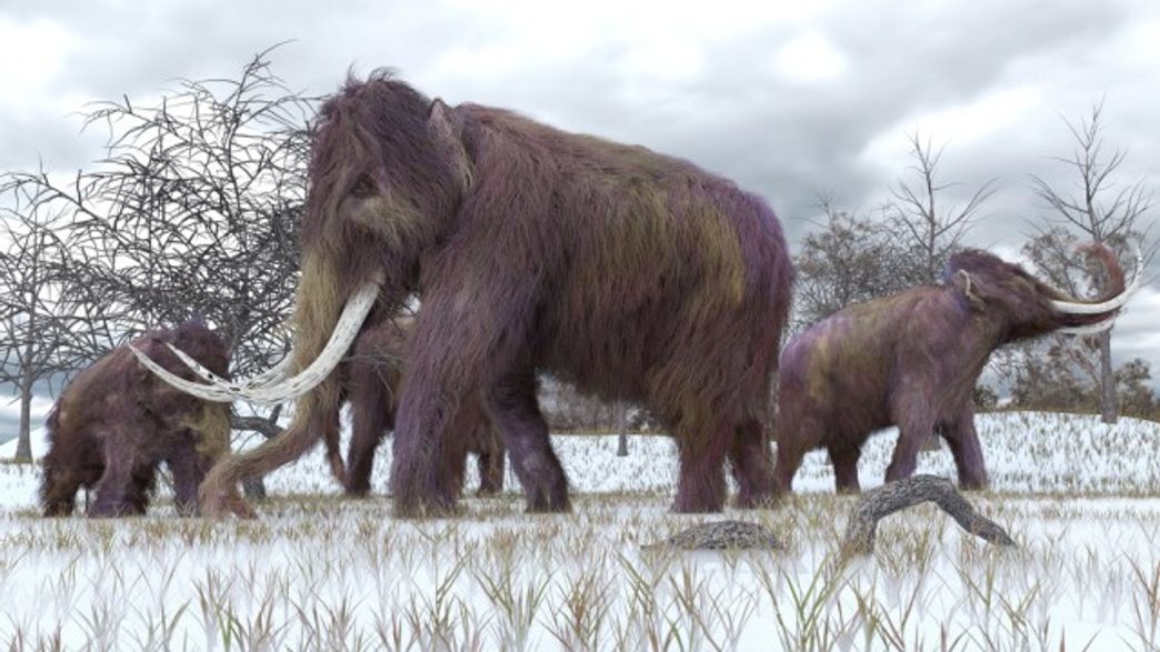 Humans Lived In The Arctic 10,000 Years Earlier Than Thought | IFLScience