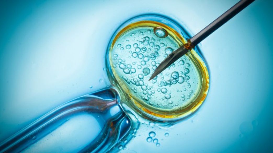 British Scientists Could Be Genetically Editing Human Embryos Within ...