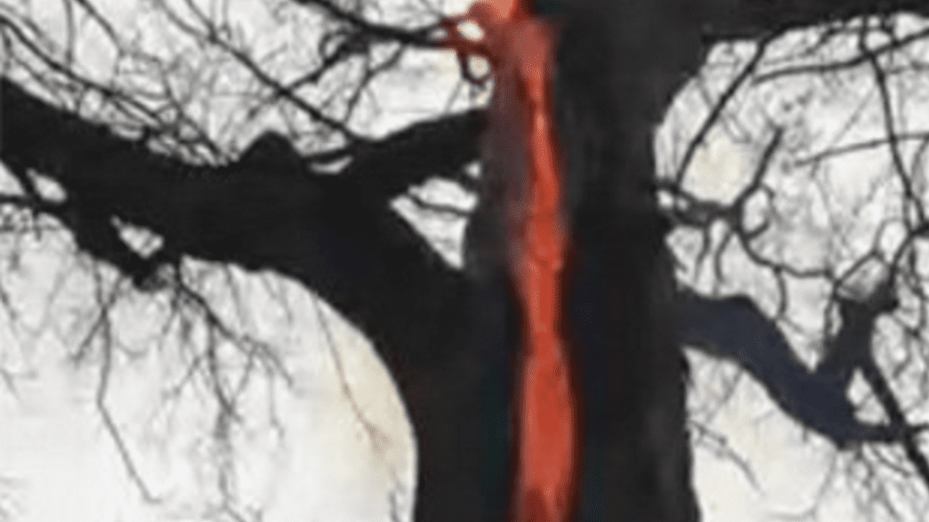 Hikers In Ohio Stumble Across "Devil Tree" | IFLScience