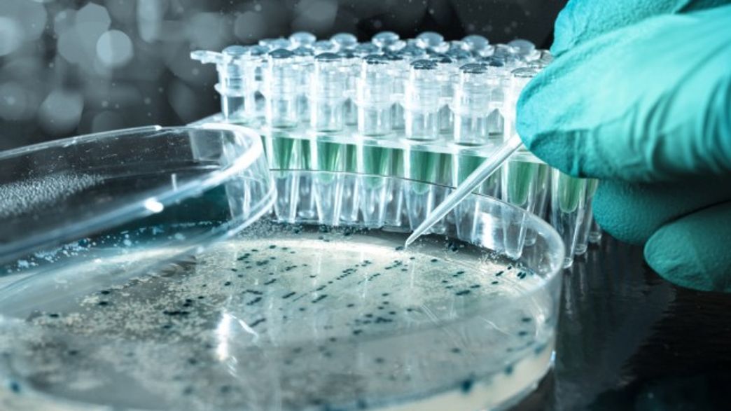 "Superbugs" Destroyed Using Quantum Dot Nanoparticles | IFLScience