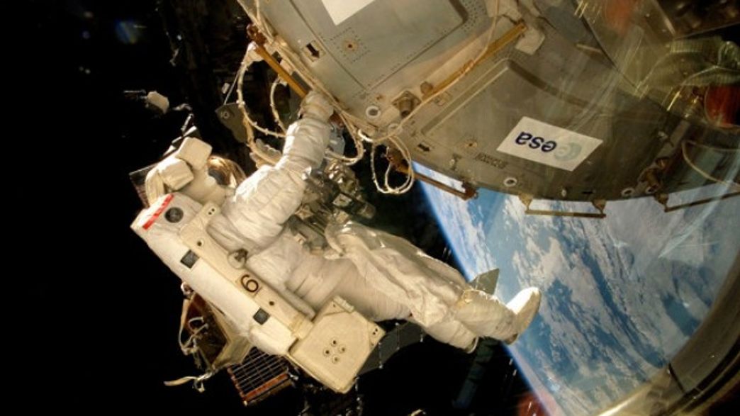 Fungi and Lichens Just Survived 18 Months On The Outside Of The ISS ...