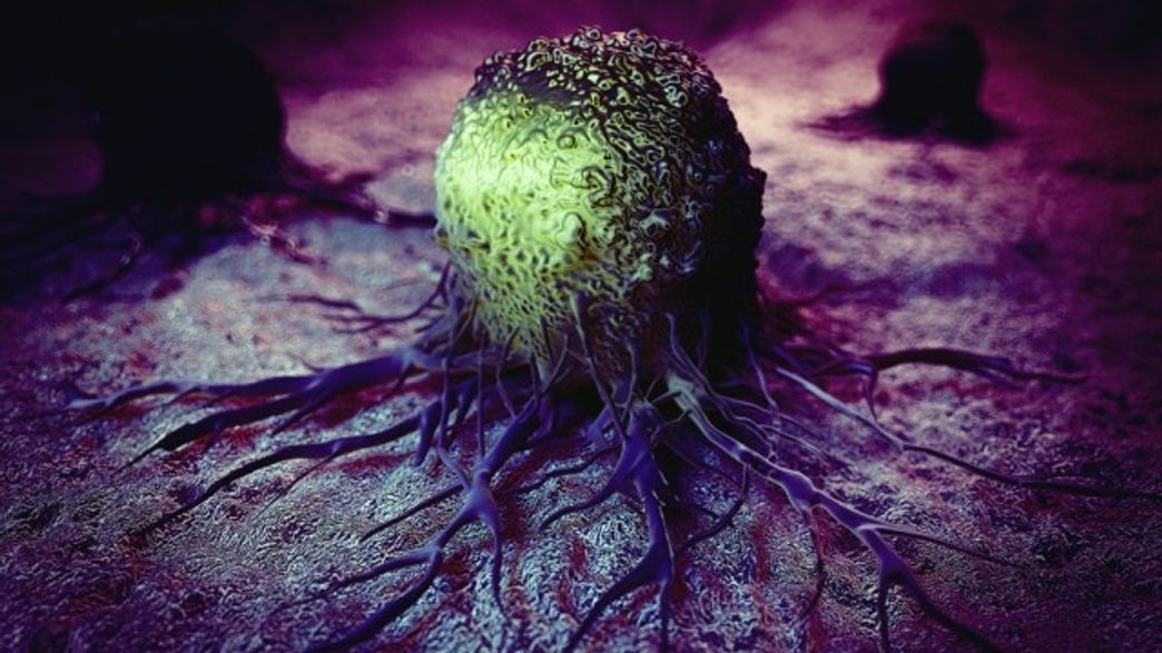 Cancer Spread Tracked From A Single Cell In A Live Animal | IFLScience