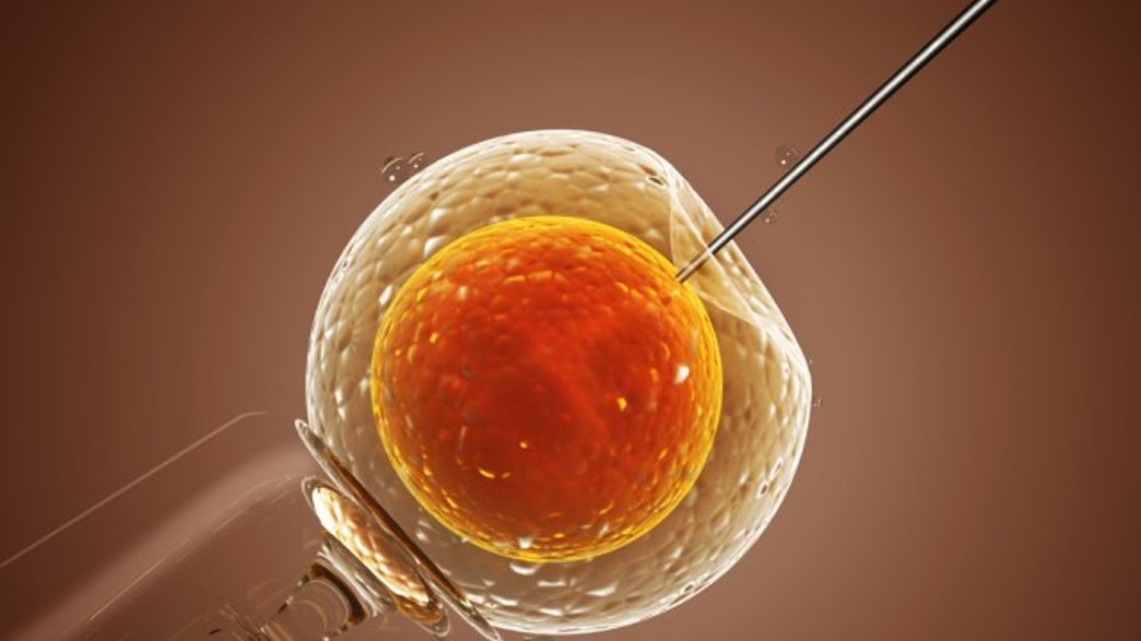 U.K. Scientists Given Green Light To Edit Human Embryos | IFLScience