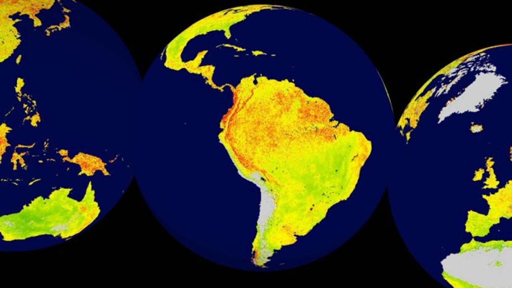 Which Ecosystems Are Most At Risk From Climate Change? | IFLScience