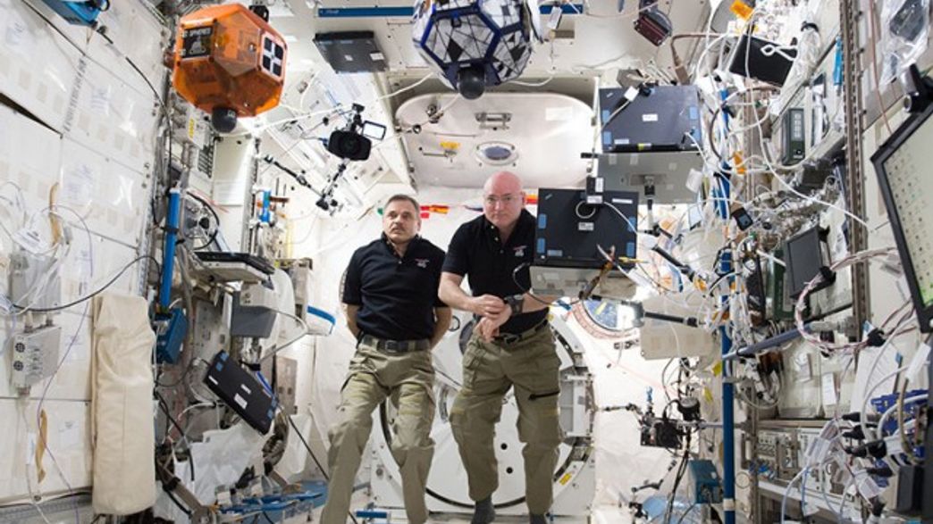 Here's How Space Alters Your Body | IFLScience