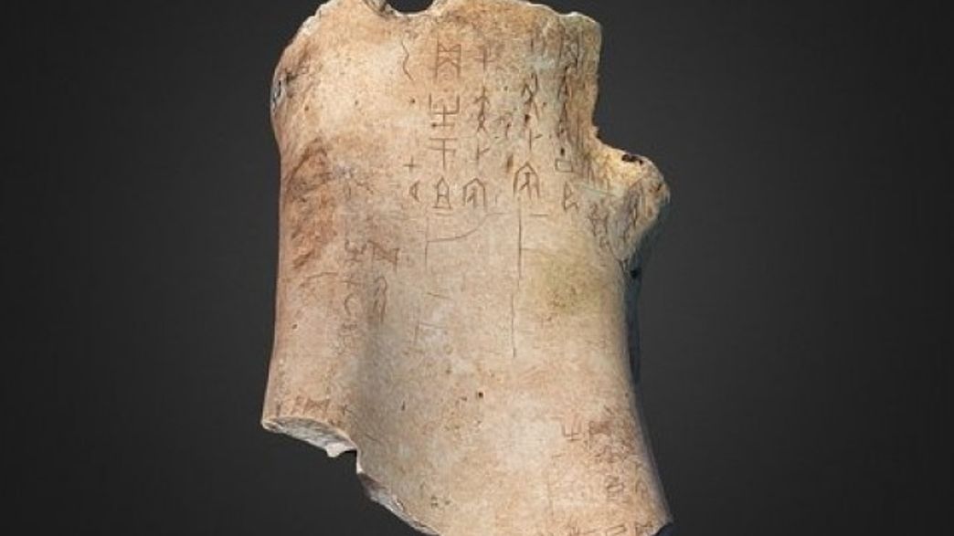 Shang Dynasty Artifacts Oracle Bones