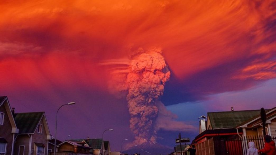 Incredible Images From The Smithsonian Photo Contest Show The Best Of ...