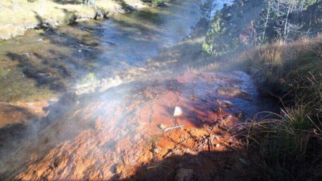 Scientists Have Sequenced The Genome Of Iron-Breathing Microbes ...