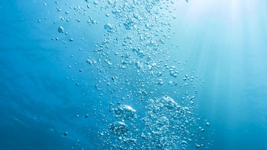 The Oceans Could Soon Not Have Enough Oxygen To Support Marine Life ...