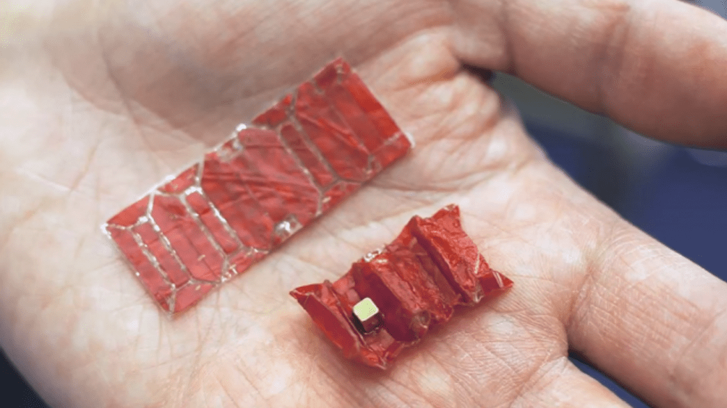 This Swallowable Origami Robot Can Retrieve Stuff From Your Stomach ...