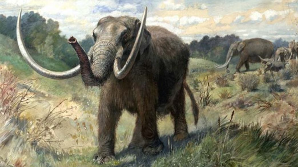 Butchered Mastodon 15,000 Years Ago Reveals Earlier Human Presence In ...