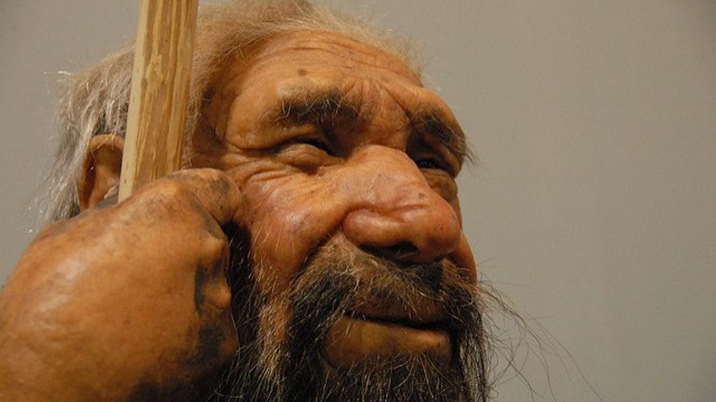 Neanderthal Babies Were Stocky, Just Like Their Parents | IFLScience
