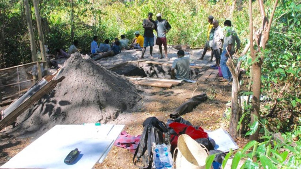 Crop Records Reveal Madagascar And Comoros Were Settled From Southeast ...