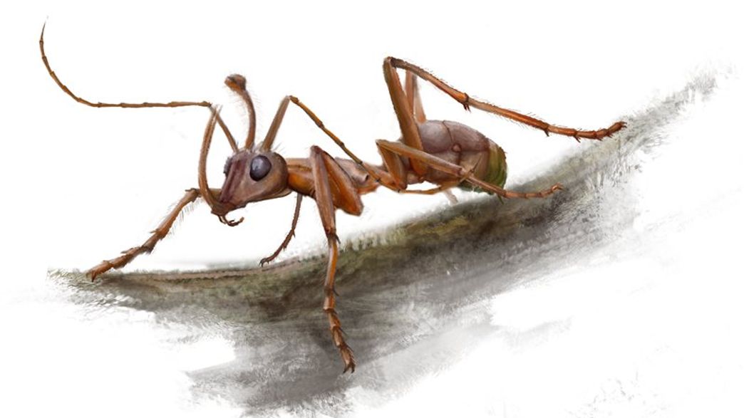 Bizarre Horned Ant Preserved In 99-Million-Year-Old Amber | IFLScience