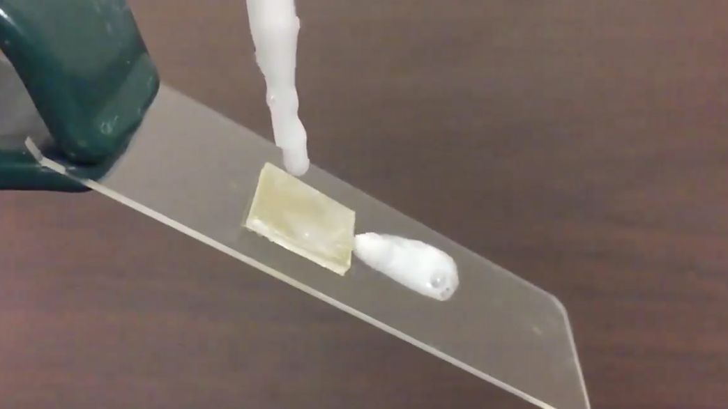 How To Get That Last Drop Of Shampoo Out Of The Bottle | IFLScience