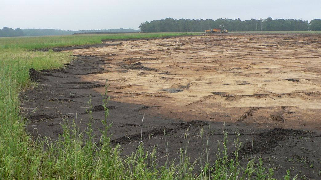 Restoration Of Farmland Can Be Directed By Inoculating The Land With ...